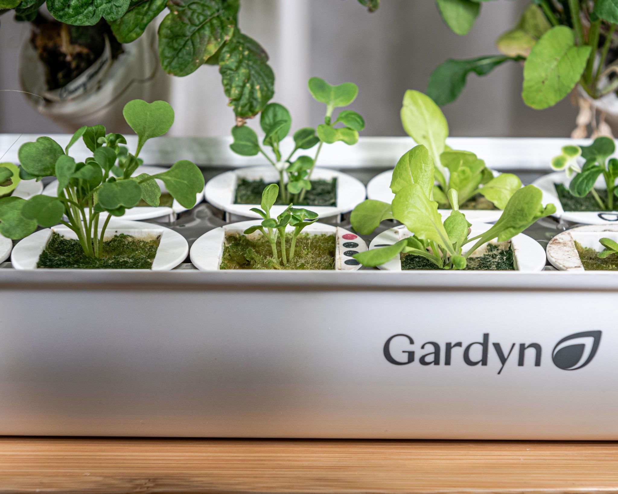 Tips for new Gardyners - Gardyn