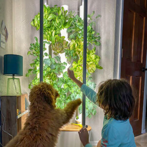 Gardyn: Hydroponic Indoor Garden System, Grow Herbs, Flowers & Vegetables