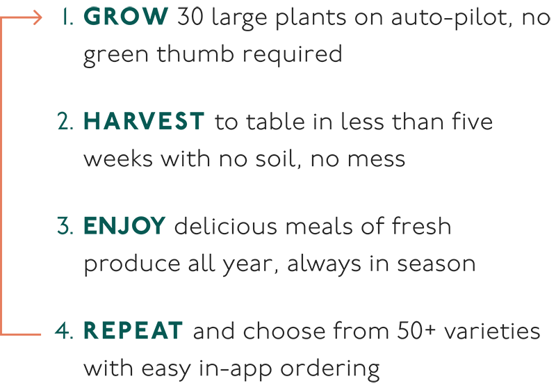 Vertical Indoor Gardening System - Grow Herbs, Flowers & Vegetables ...