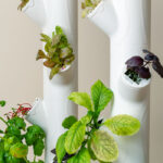 How It Works: How To Start A Garden Indoors With Gardyn