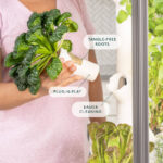 Indoor Garden Kit : Gardyn Home Kit 3.0 | Shop Gardyn Device
