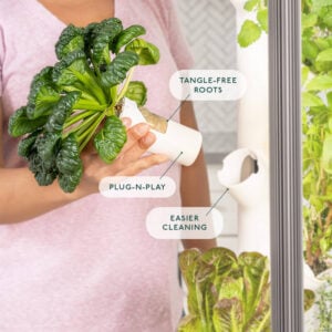 Indoor Garden Kit : Gardyn Home Kit 3.0 | Shop Gardyn Device