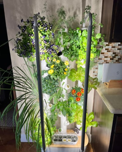 Gardyn 4.0: Hydroponic Indoor Garden System, Growing Vegetables, Herbs ...