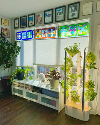 Gardyn 4.0: Hydroponic Indoor Garden System, Growing Vegetables, Herbs ...